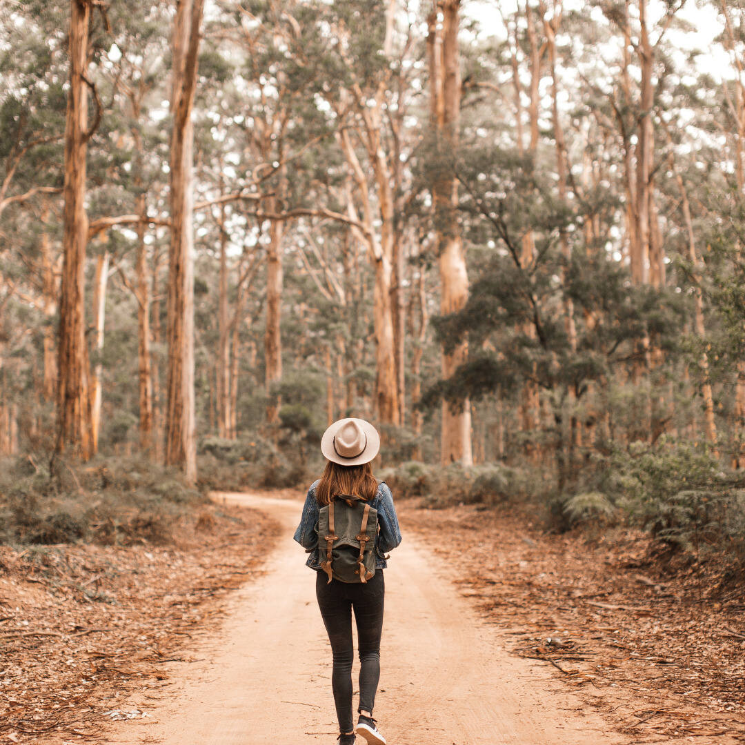 60 Captivating Picture Writing Prompts (Includes Samples) - From Panic ...